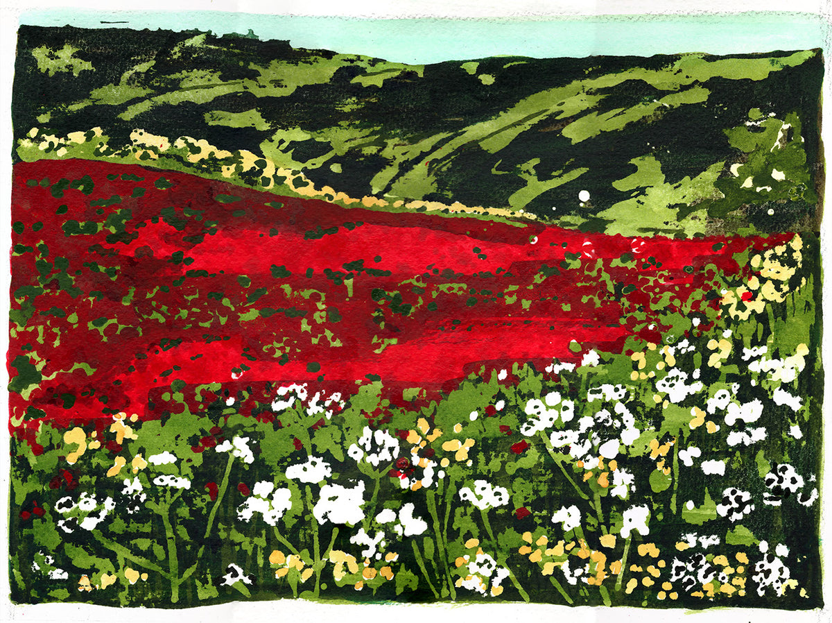 Poppy Fields – Terrace Gallery Cornwall