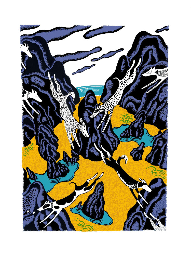 Rhinarium – Terrace Gallery Cornwall