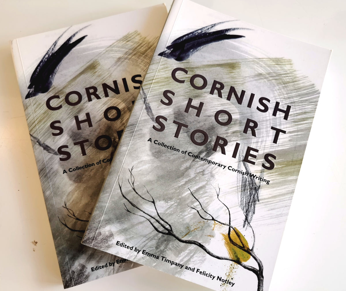 Cornish Short Stories: A Collection of Contemporary Cornish Writing ...